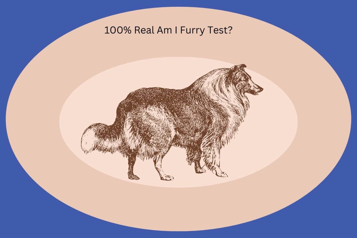 100% Real Am I Furry Test? | Solution Tales